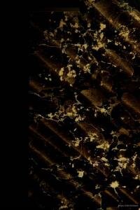 The Calvinistic and Socinian systems examined and compared as to their ...