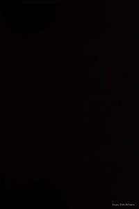 An introduction to the Old Testament | Logos Bible Software