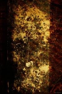 The Bible cyclopedia : containing the biography, geography, and natural ...