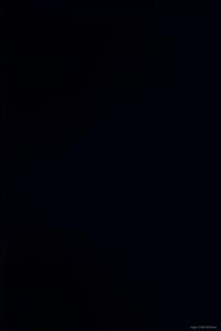 The life of St. Paul | Logos Bible Software