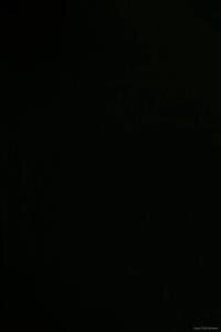 The covenant of salt as based on the significance and symbolism of salt ...