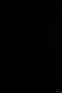 Old Testament prophecy | Logos Bible Software