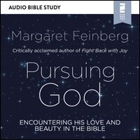 Pursuing God: Audio Bible Studies: Encountering His Love and Beauty in ...