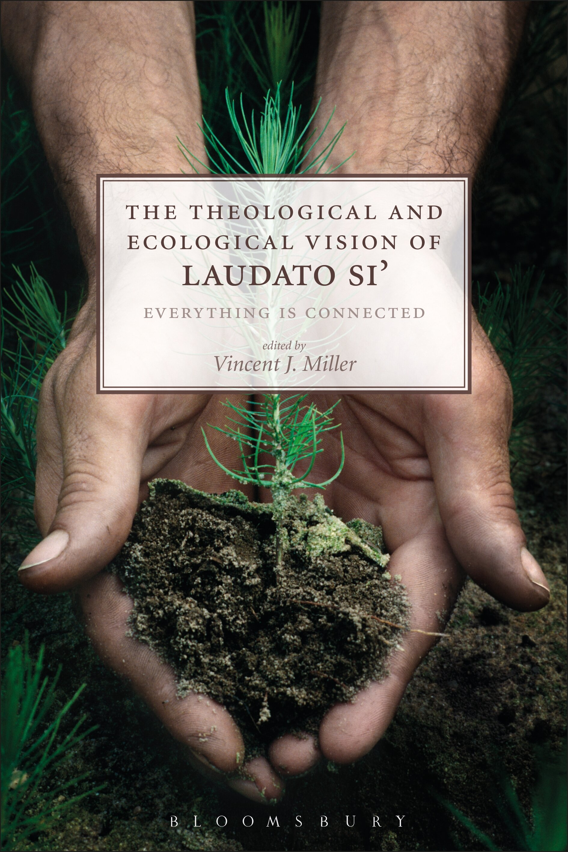 The Theological and Ecological Vision of Laudato Si': Everything is ...
