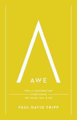 Awe: Why It Matters for Everything We Think, Say, and Do (with Study ...