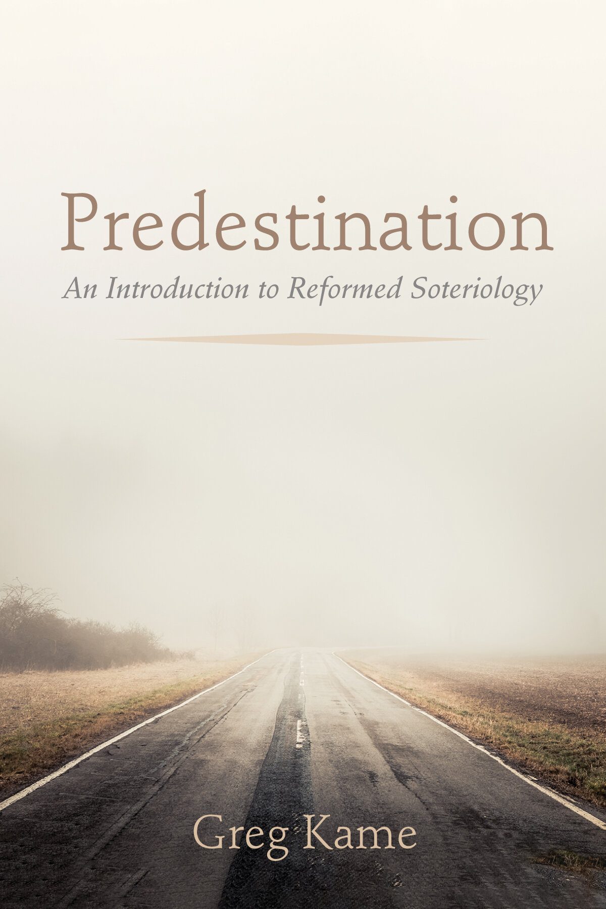 Predestination: An Introduction to Reformed Soteriology | Logos Bible ...
