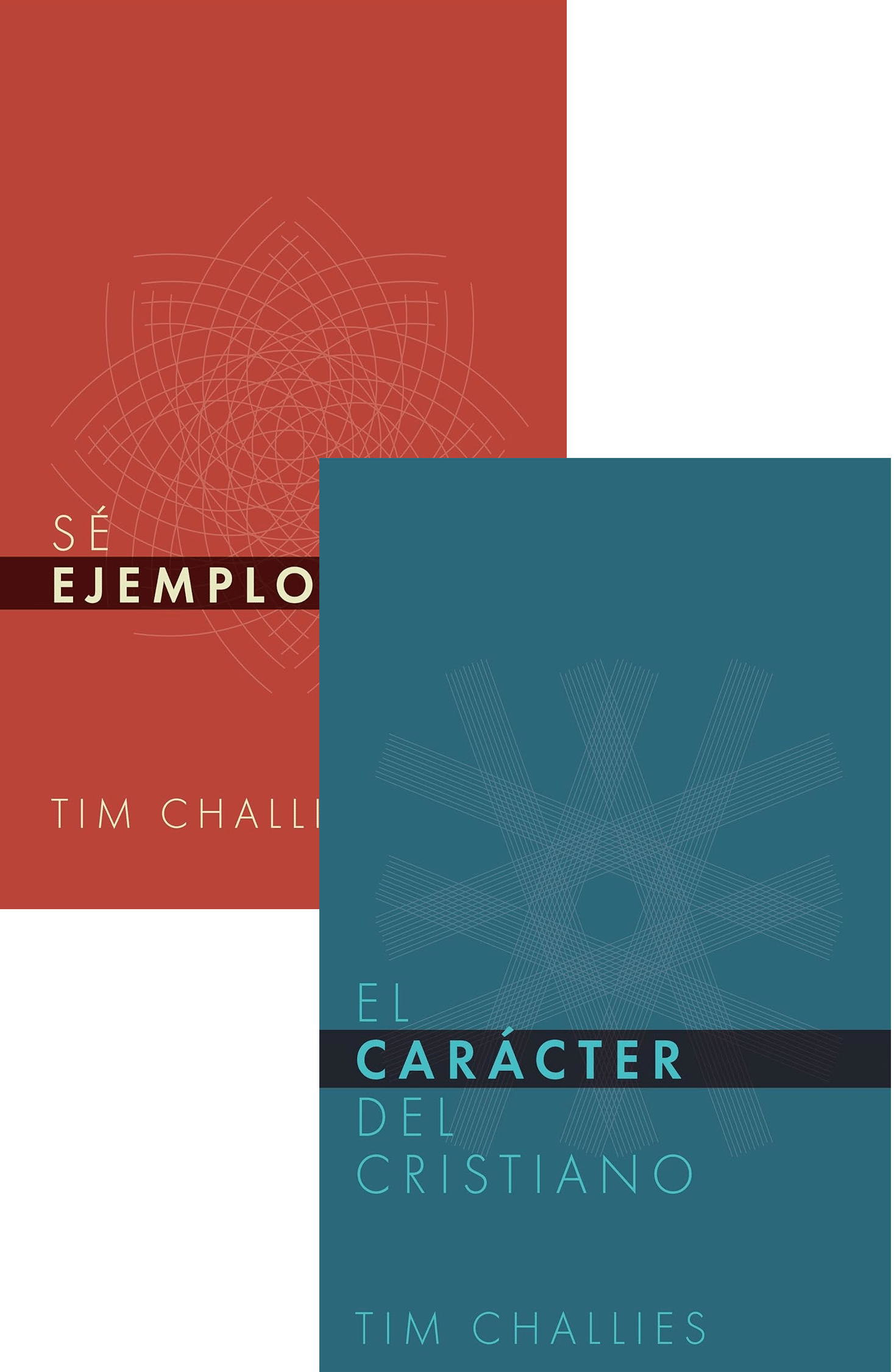 Serie Tim Challies (2 vols.)