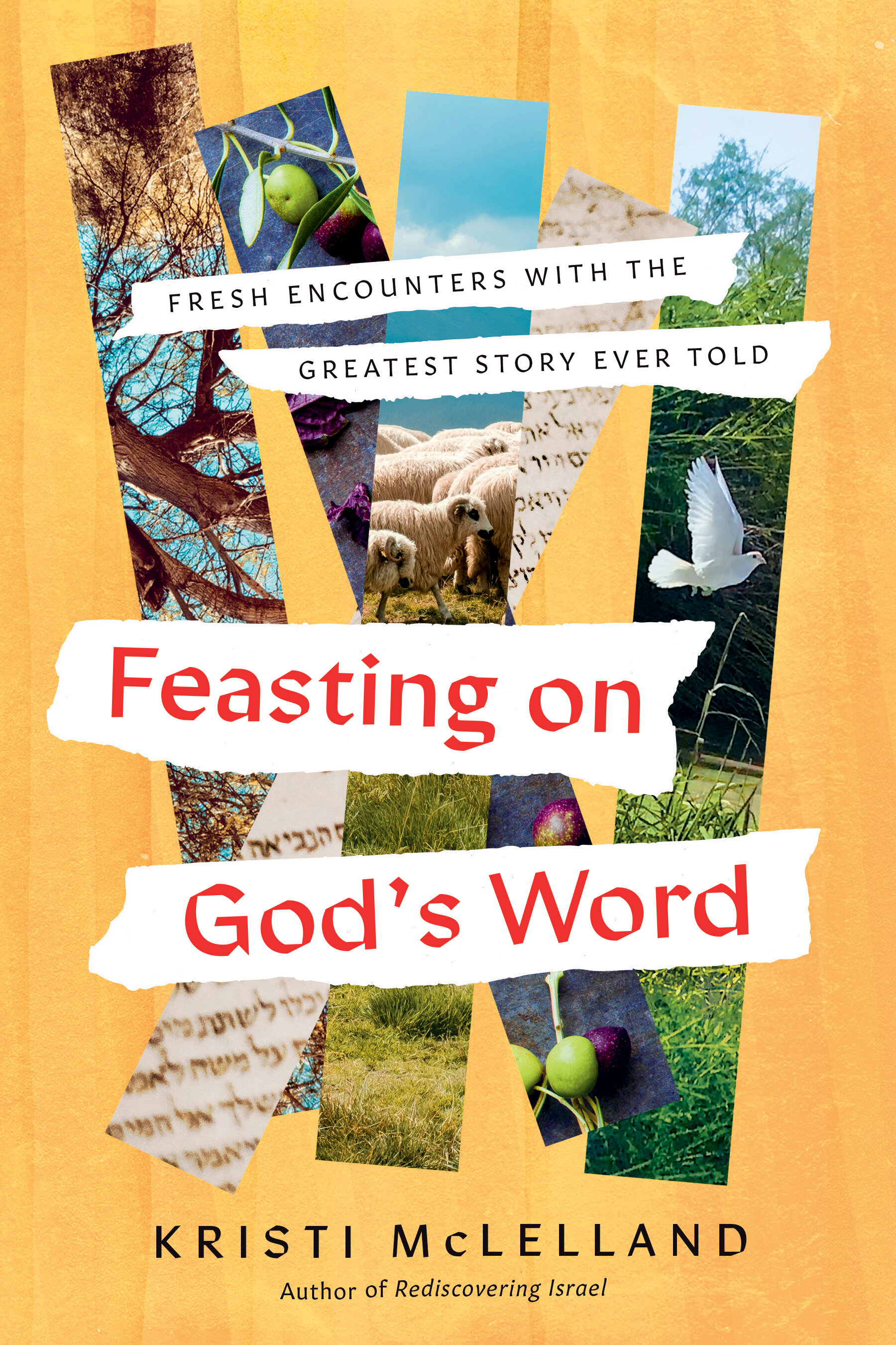 Feasting on God's Word: Fresh Encounters with the Greatest Story Ever ...
