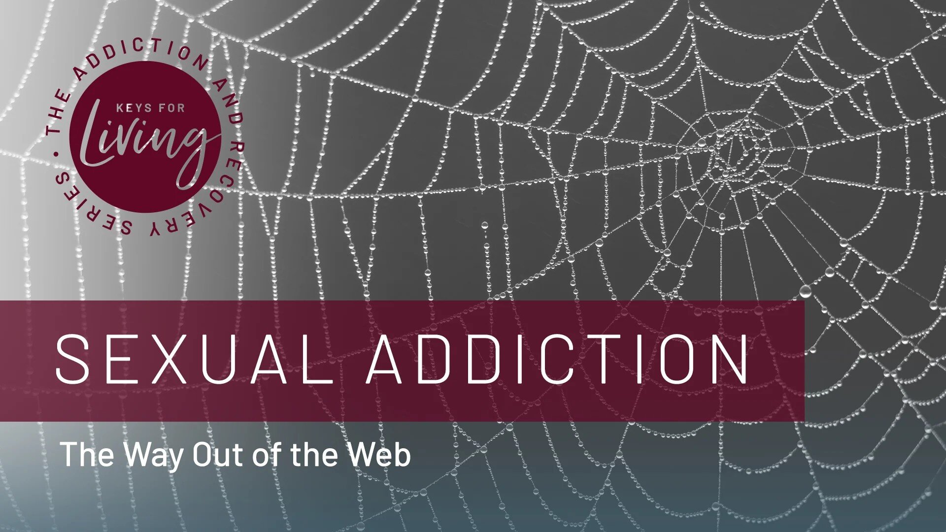 Sexual Addiction: The Way Out of the Web (Video) (Keys for Living Library) - Verbum