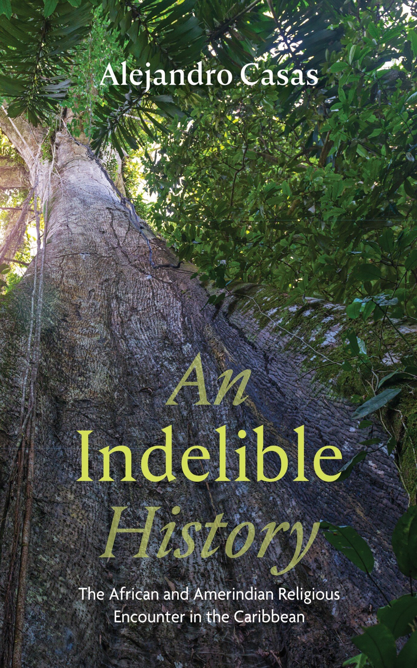 An Indelible History: The African and Amerindian Religious Encounter in ...