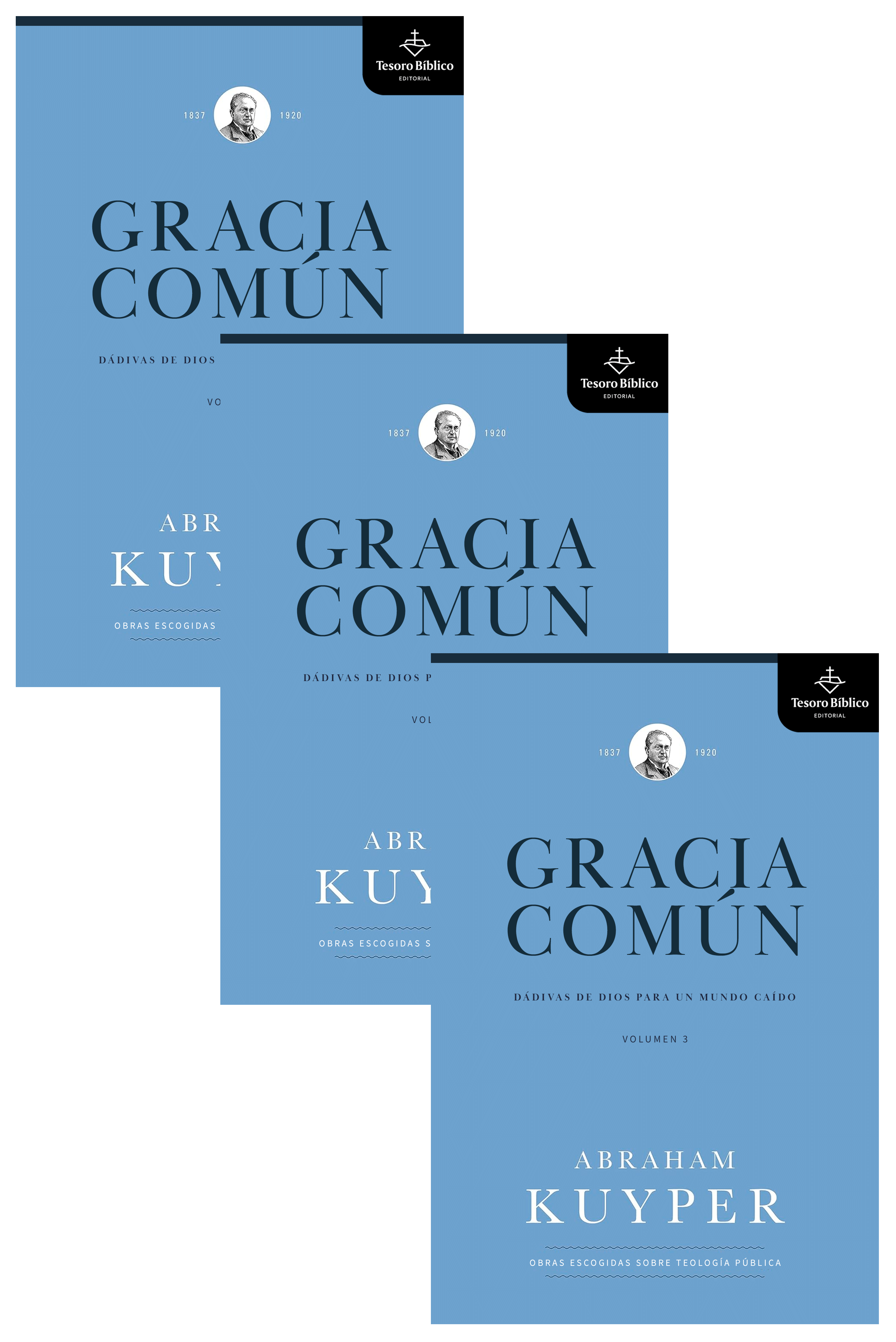 Gracia común: Dádivas de Dios para un mundo caído (3 vols.) | Logos ...