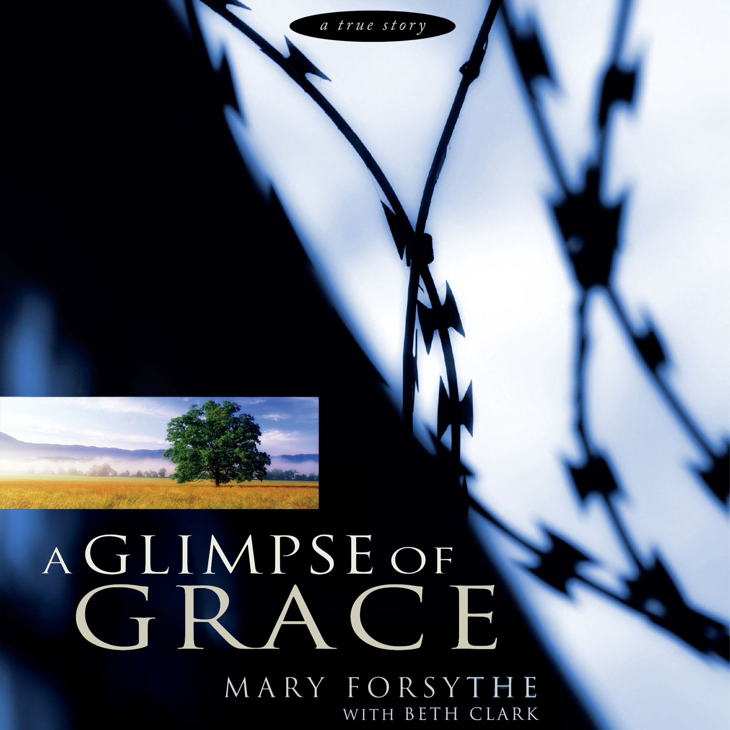 A Glimpse of Grace (Audio) | Logos Bible Software