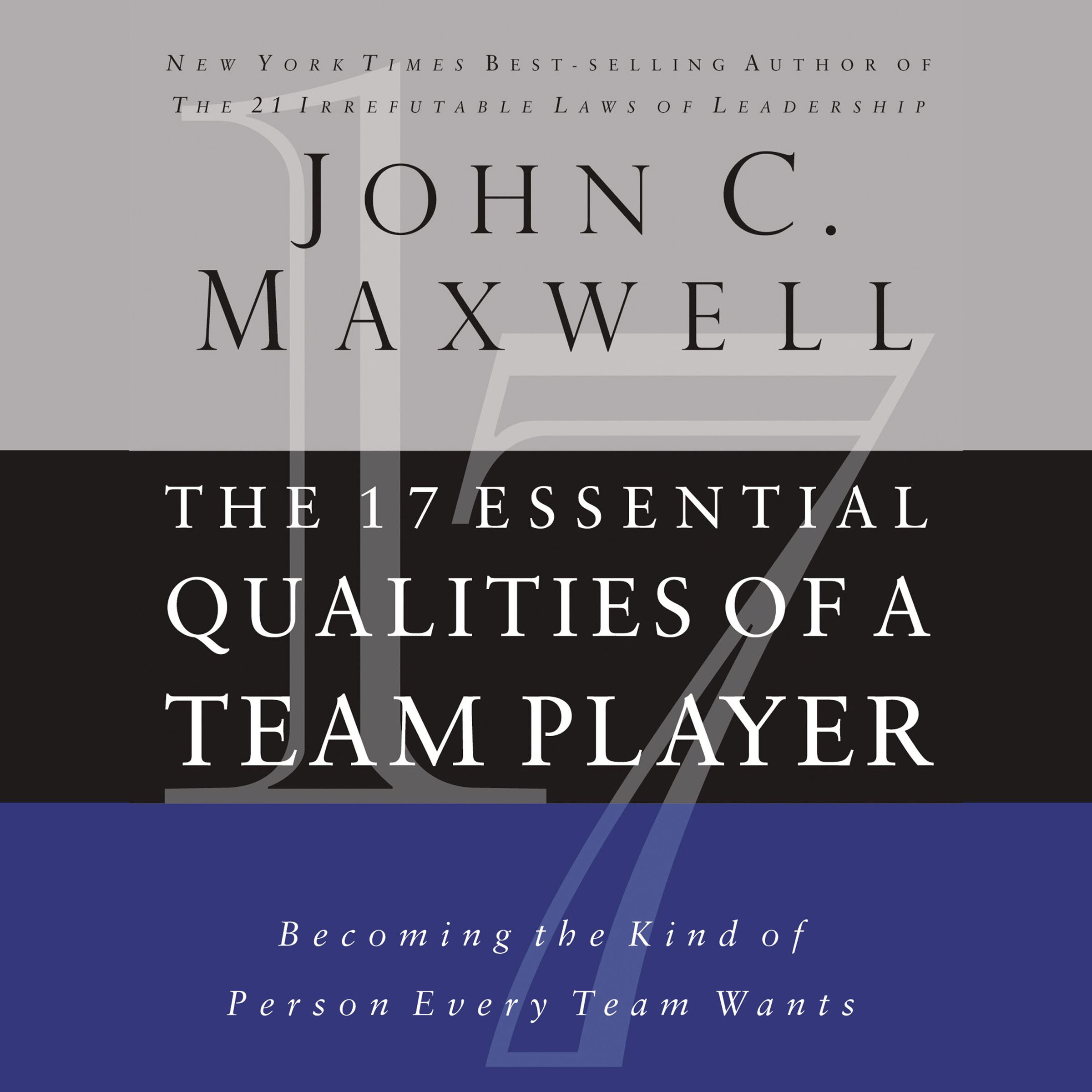 The 17 Essential Qualities of a Team Player: Becoming the Kind of ...
