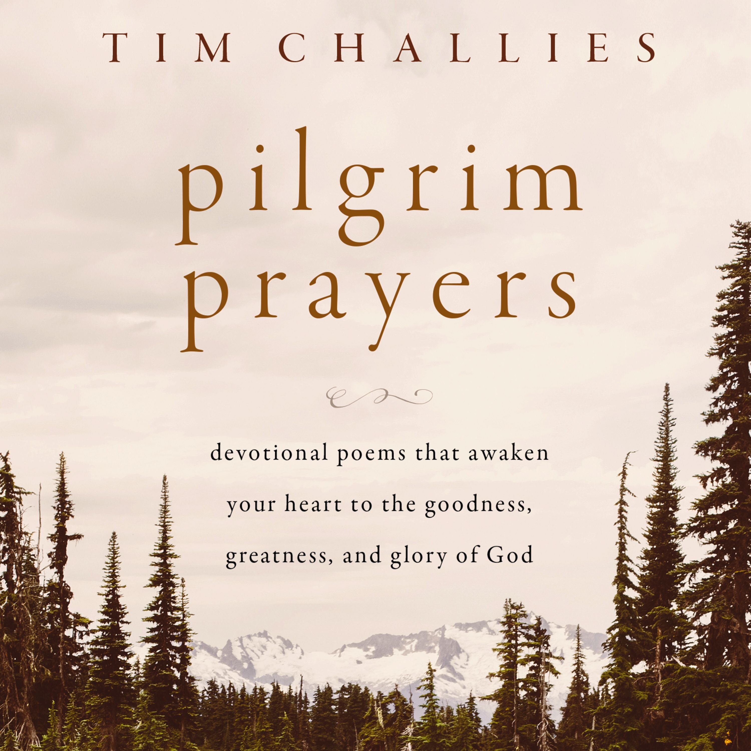 Pilgrim Prayers: Devotional Poems That Awaken Your Heart to the ...