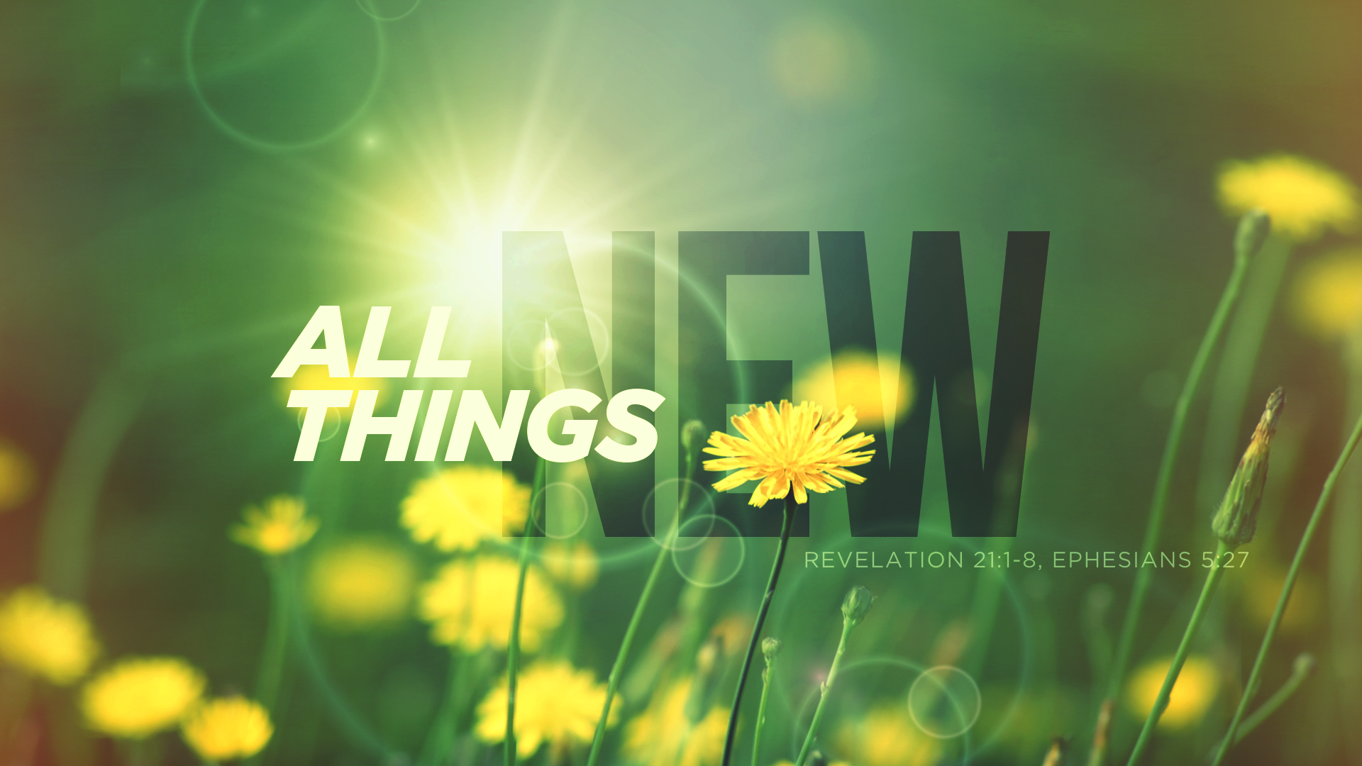 All Things New - Logos Sermons