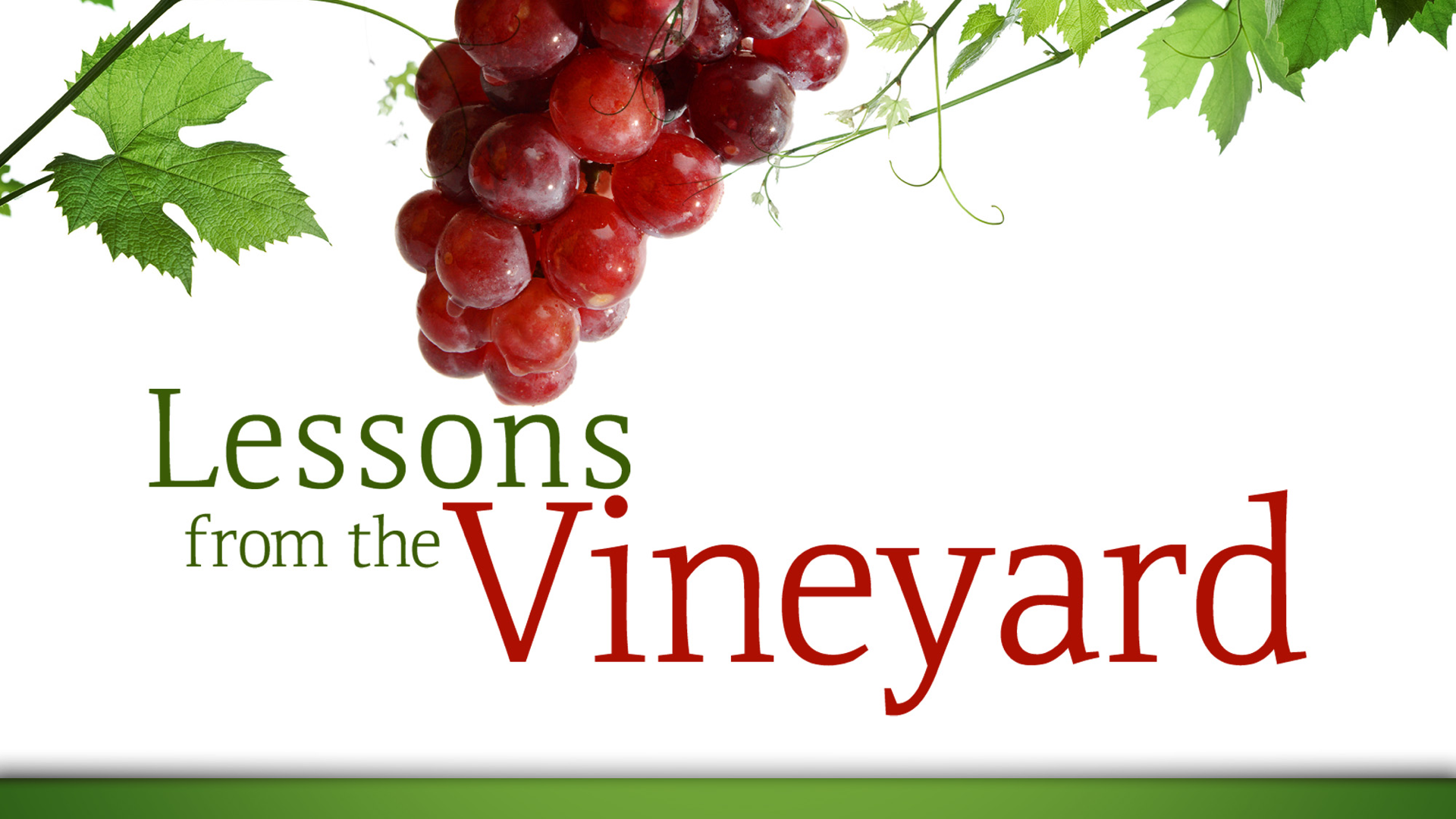 Lessons From The Vineyard - Logos Sermons