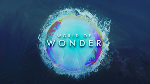 World of Wonder - Prayer - Logos Sermons