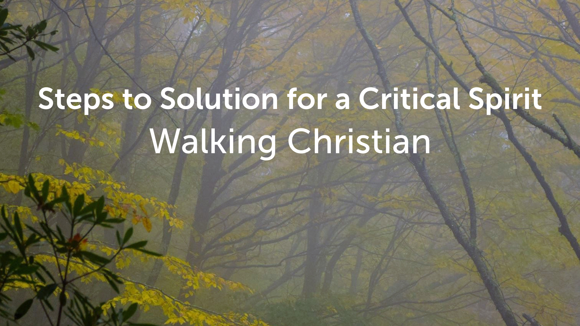 Steps to Solution for a Critical Spirit - Logos Sermons