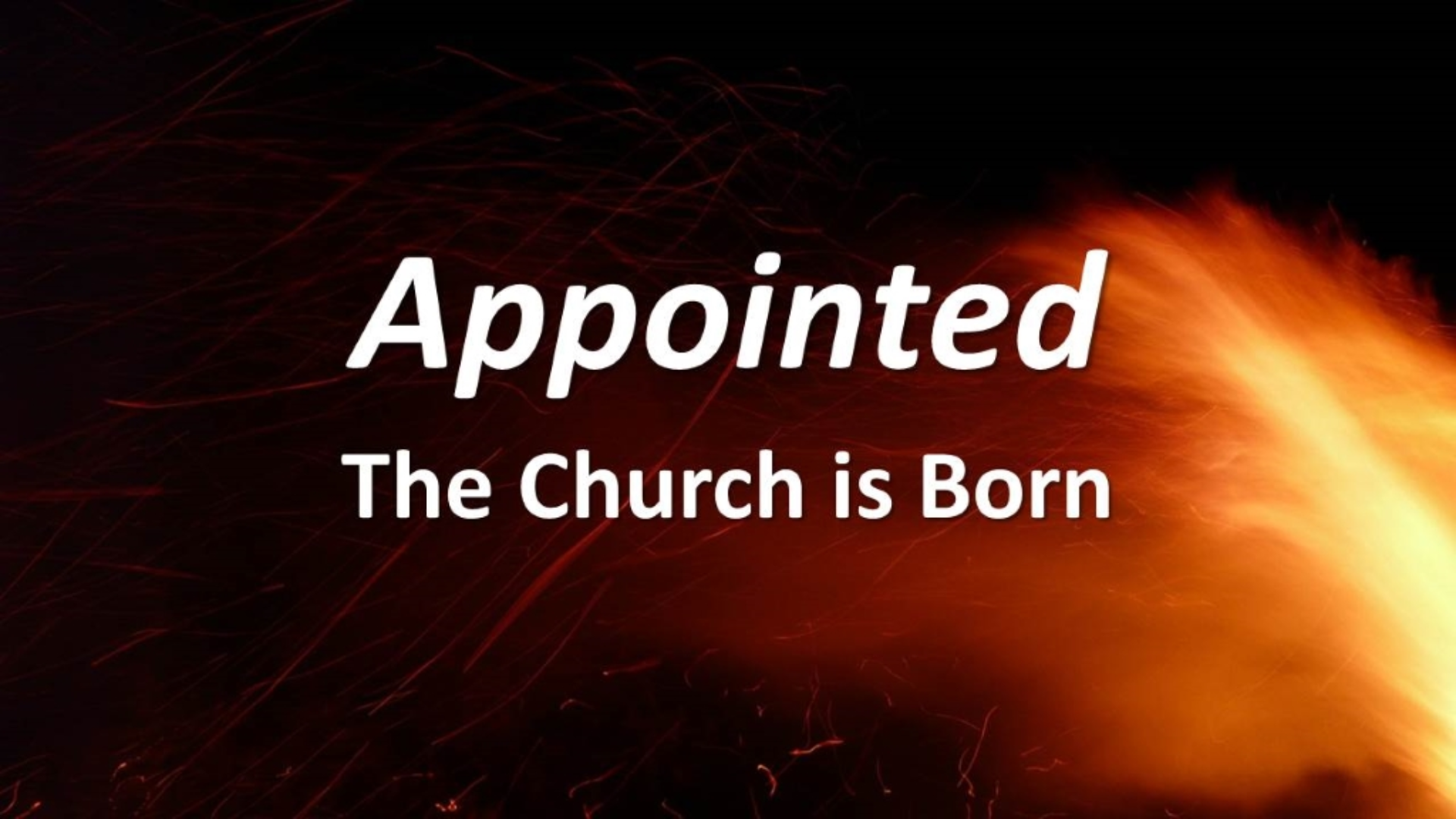 Appointed - Logos Sermons