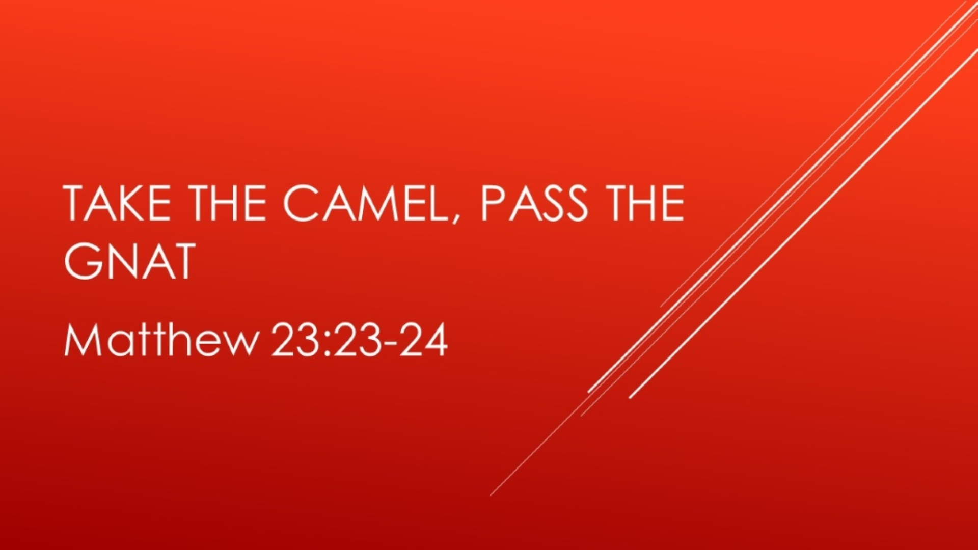 Take the Camel, Pass the Gnat - Logos Sermons
