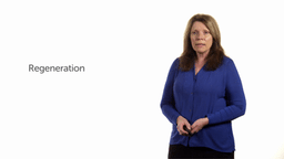 Regeneration, Faith and Repentance, Justification - Faithlife TV