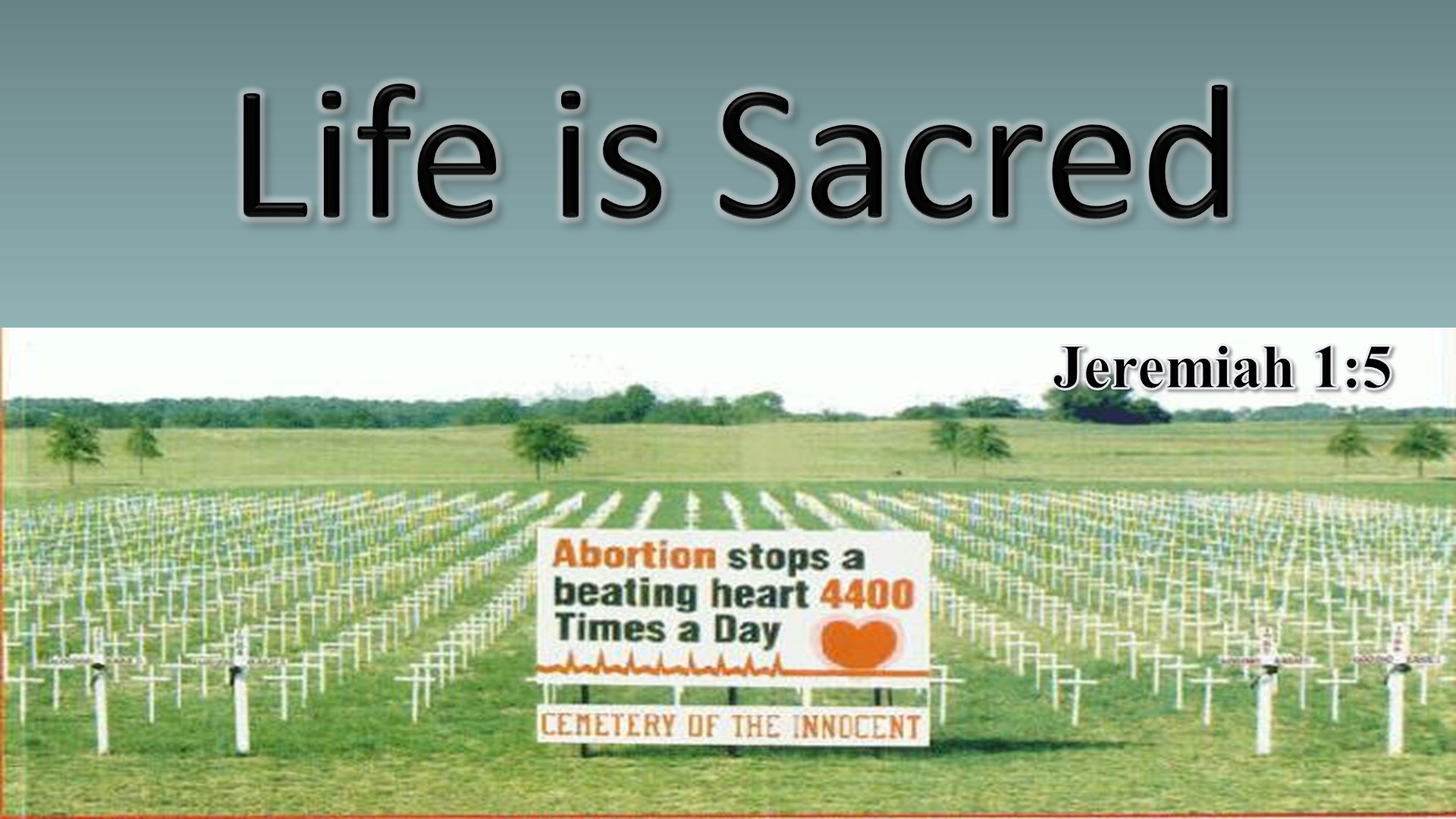 Life is Sacred - Logos Sermons