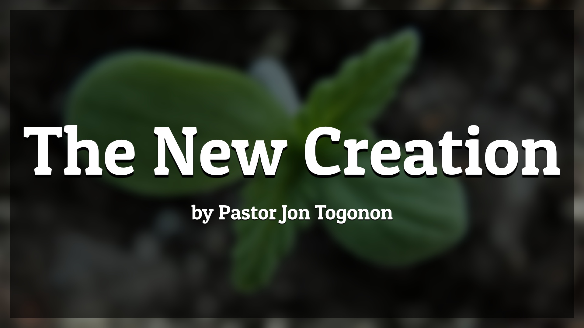 The New Creation - Logos Sermons