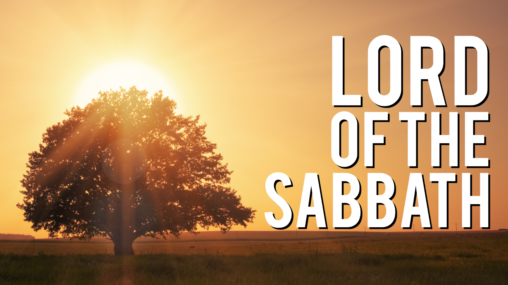 Lord of the Sabbath - Logos Sermons