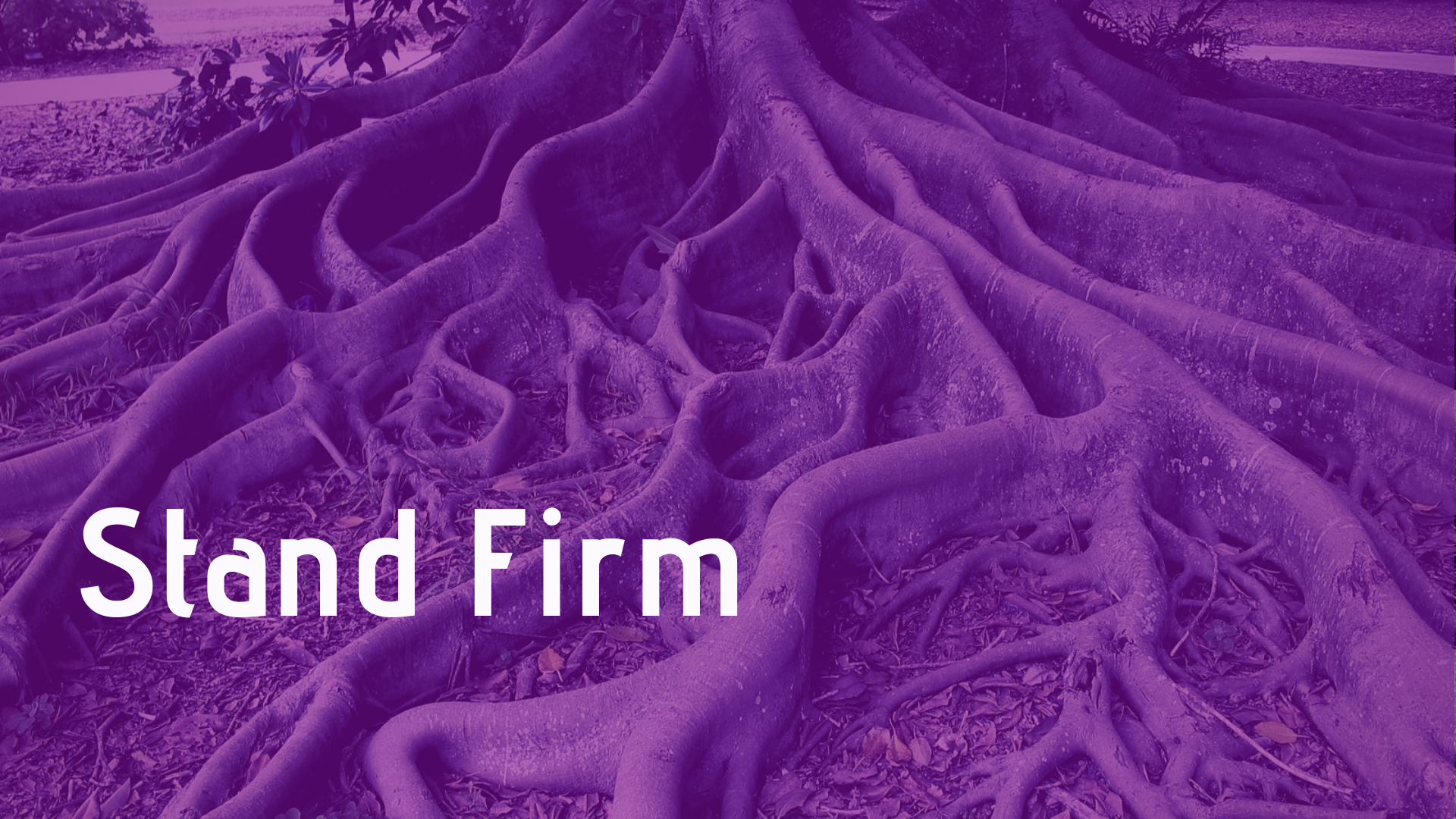 Stand Firm - Logos Sermons