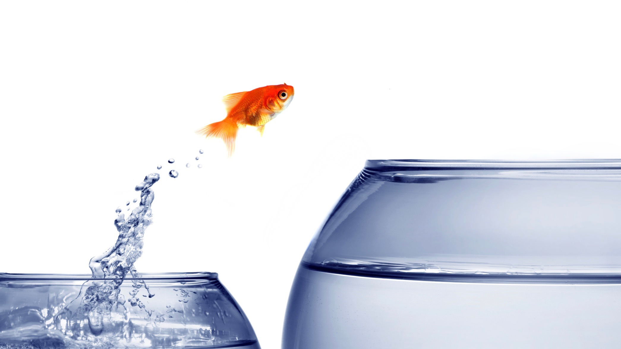 Part Four: True Welcome - Logos Sermons