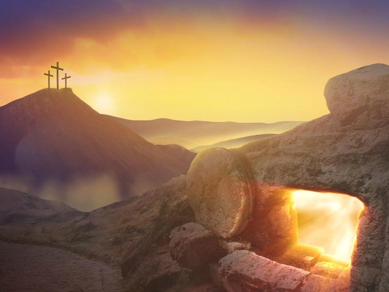 Witnesses Logos Sermons