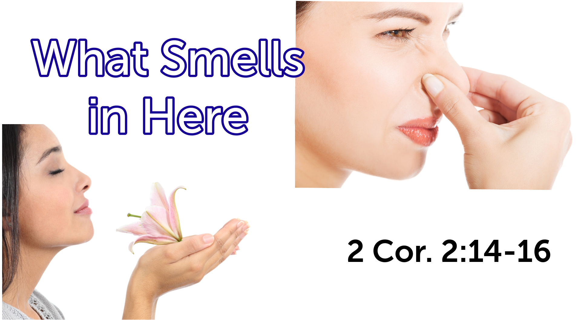 What Smells in Here? - Logos Sermons