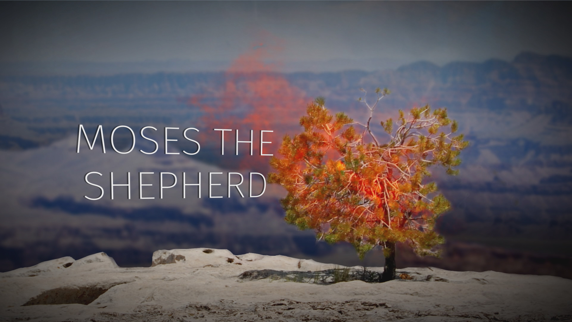 Moses the Shepherd | The Story of Moses - Faithlife TV