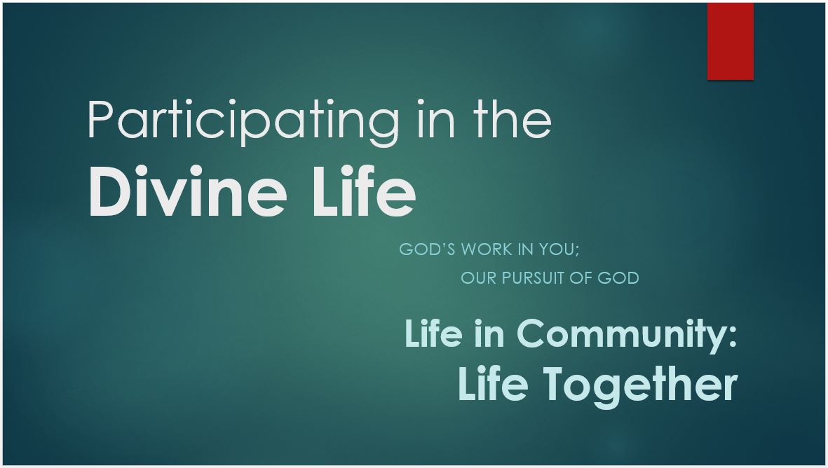 Week 10 - Life in Community, Life Together - Logos Sermons