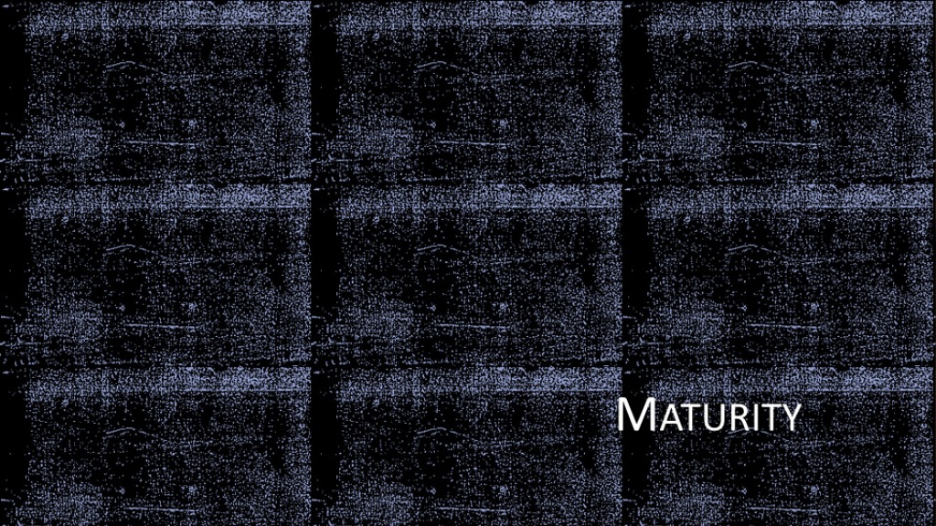 Maturity - Logos Sermons