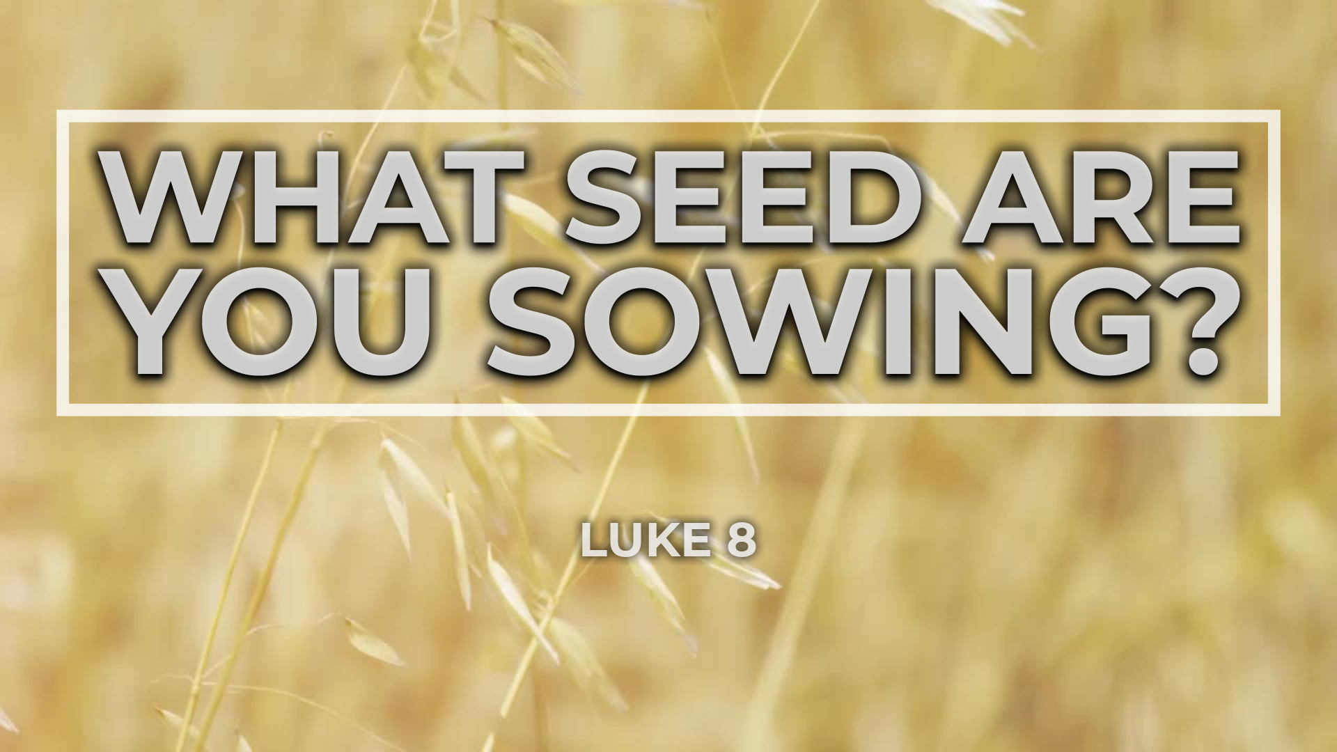 What Seed Are You Sowing? - Logos Sermons