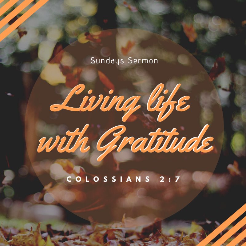 THIS WEEK - 11-24-19 - Logos Sermons