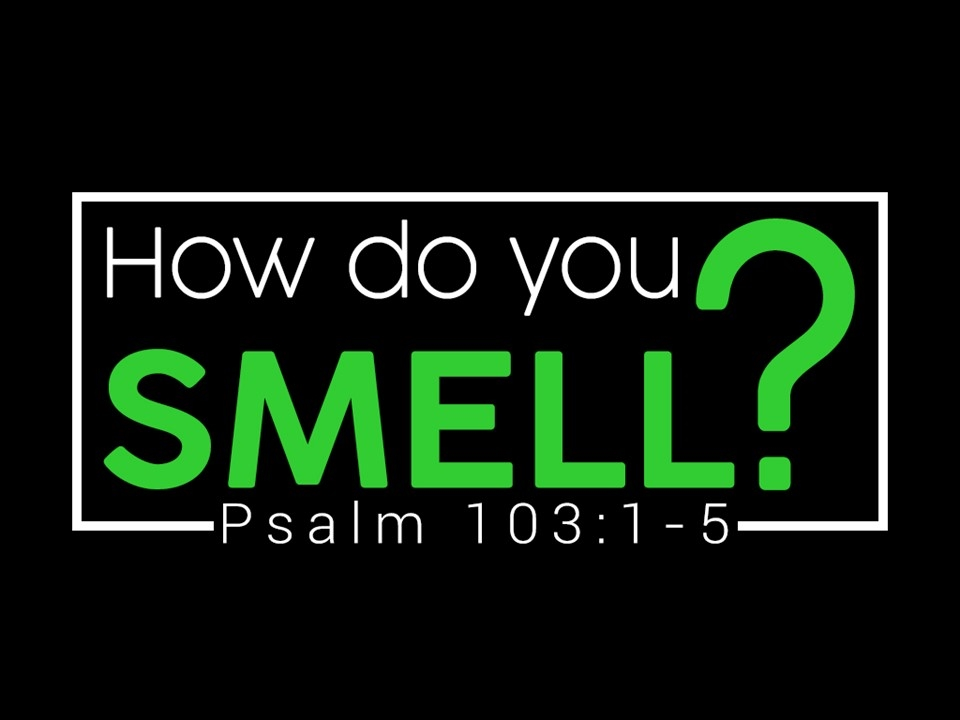 Where Is Your Kingdom? - Logos Sermons