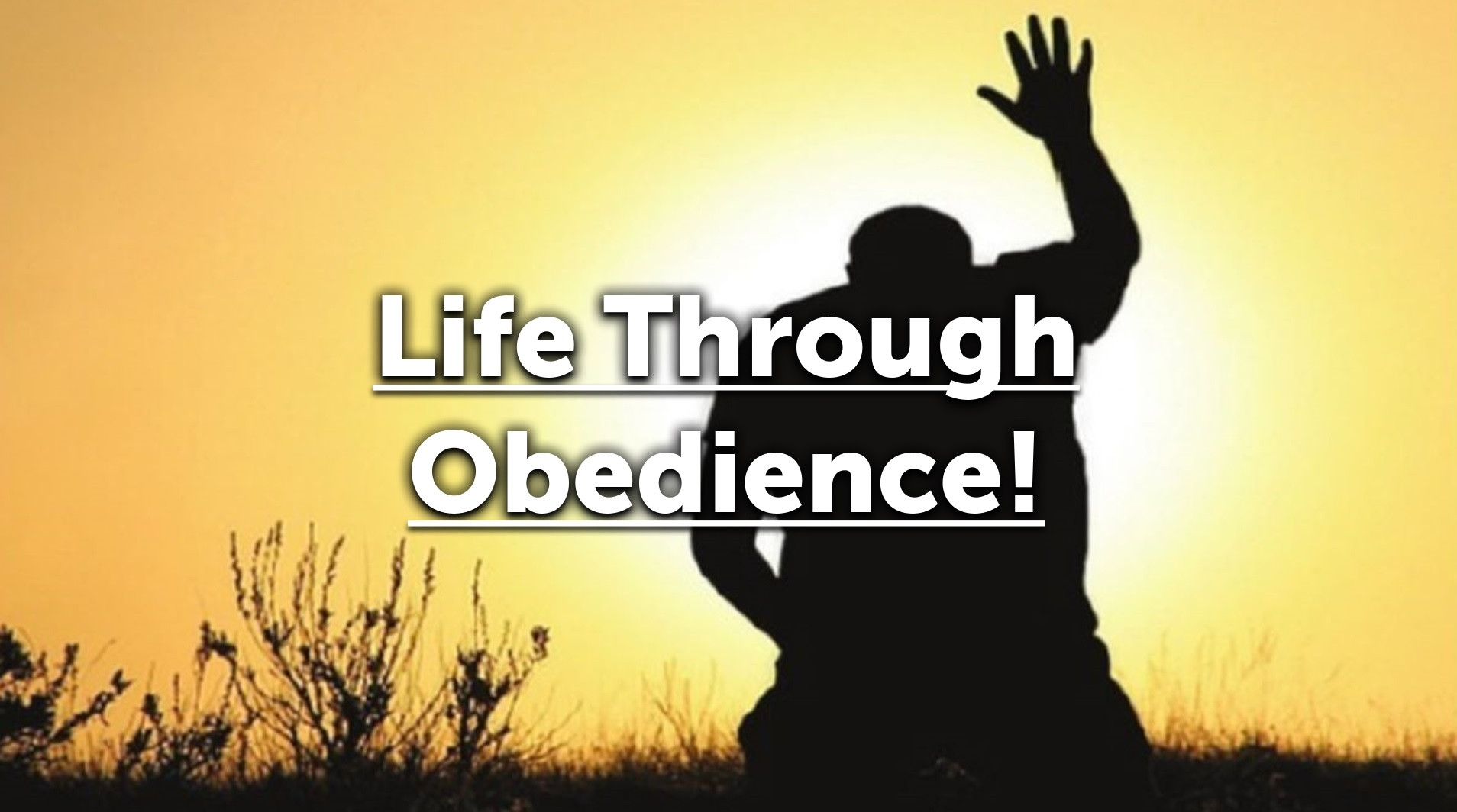 Life Through Obedience - Logos Sermons