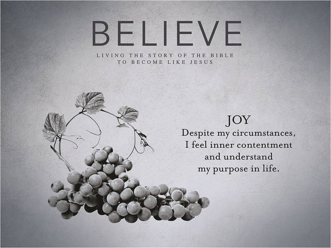 Oct 9, 2016 - New Life Viroqua - Believe Series - Week 24 - Logos Sermons
