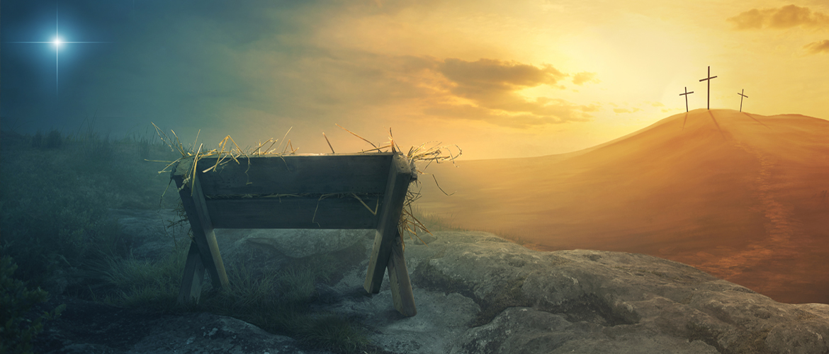 Luke 2: Simeon and Anna - Logos Sermons