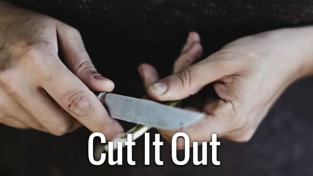 Cut It Out - Logos Sermons