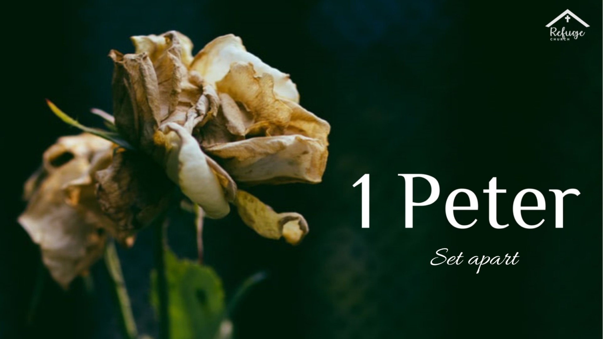 Set apart - Logos Sermons