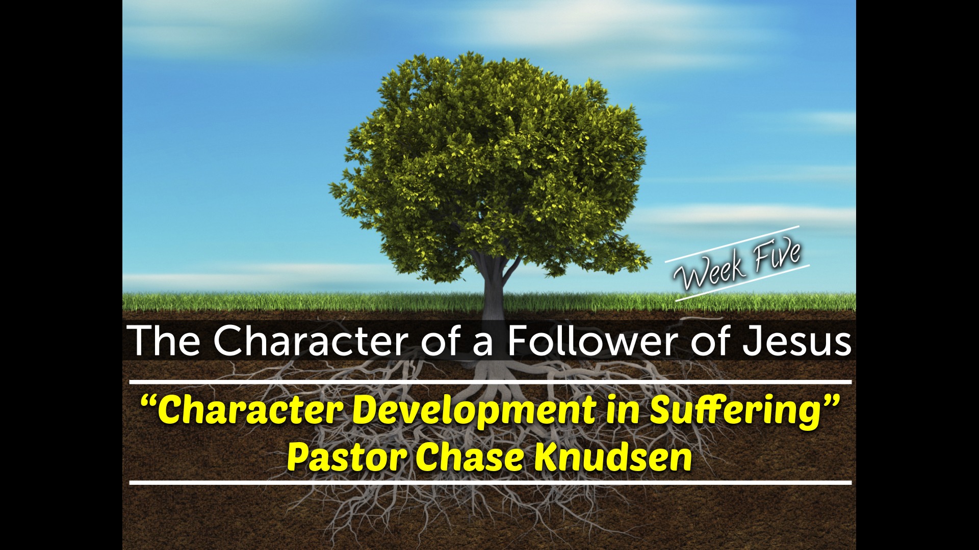 Character Development In Suffering Logos Sermons