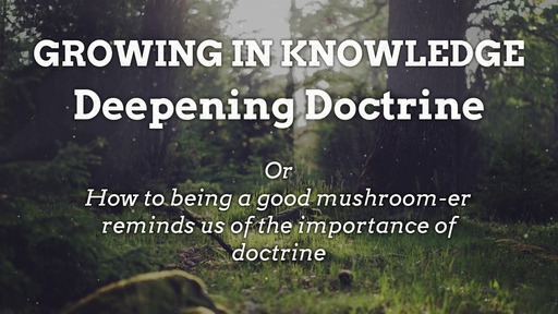 Growing in Knowledge : Deepening Doctrine - Logos Sermons
