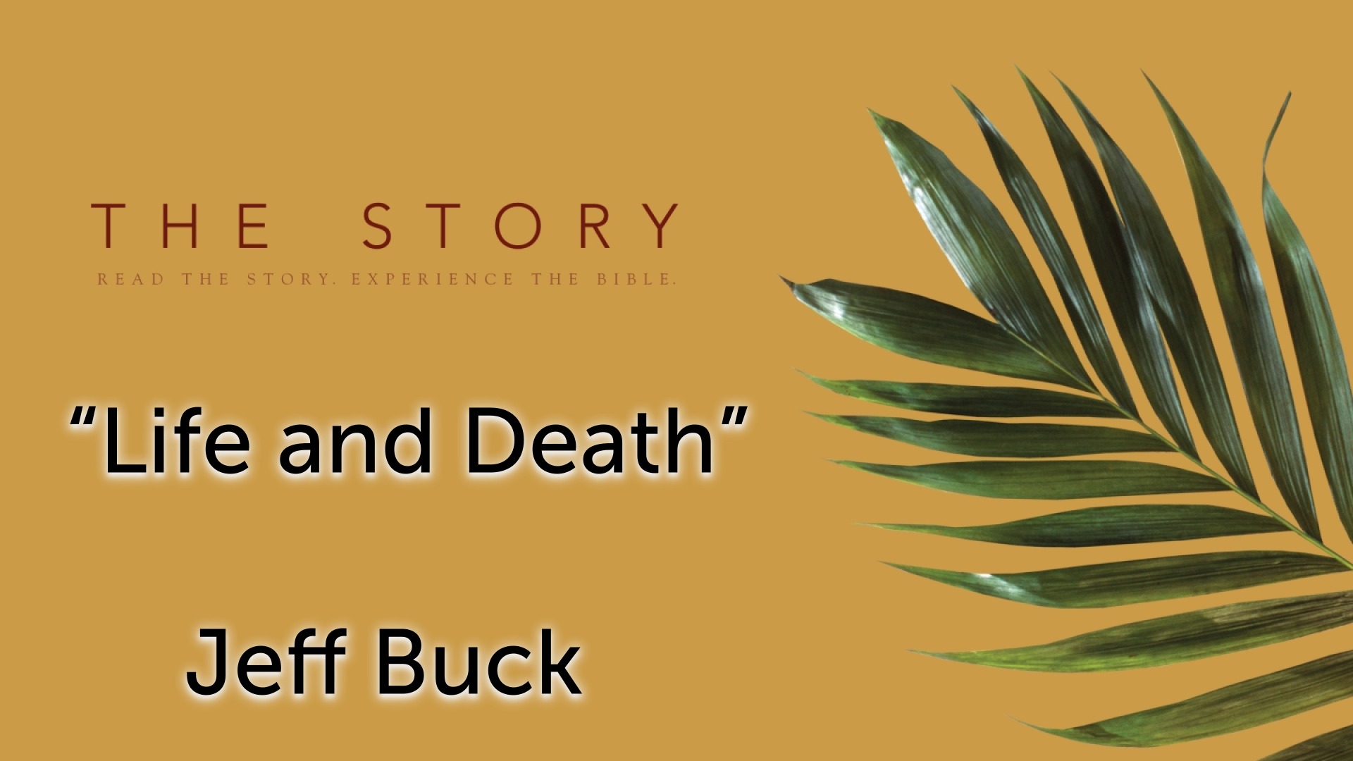 Sunday, February 16, 2020 | 9:00am - Logos Sermons