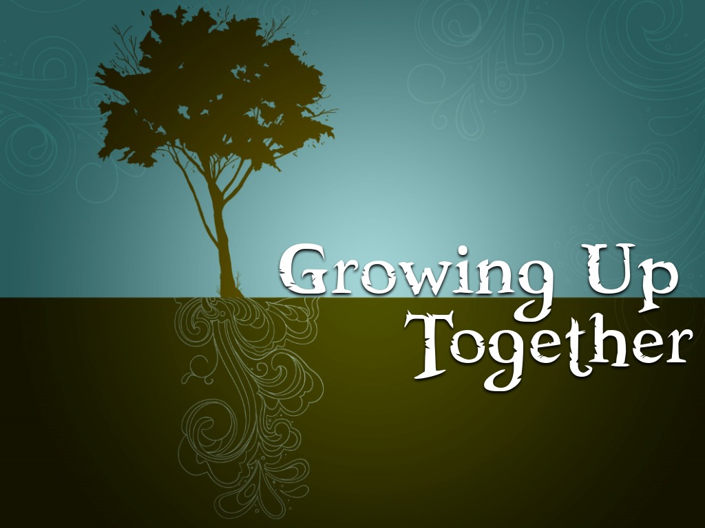 Spring Creek Baptist Church Feb 16 - Logos Sermons