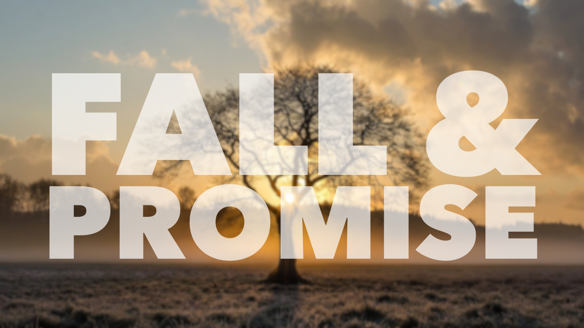 Fall & Promise - Logos Sermons
