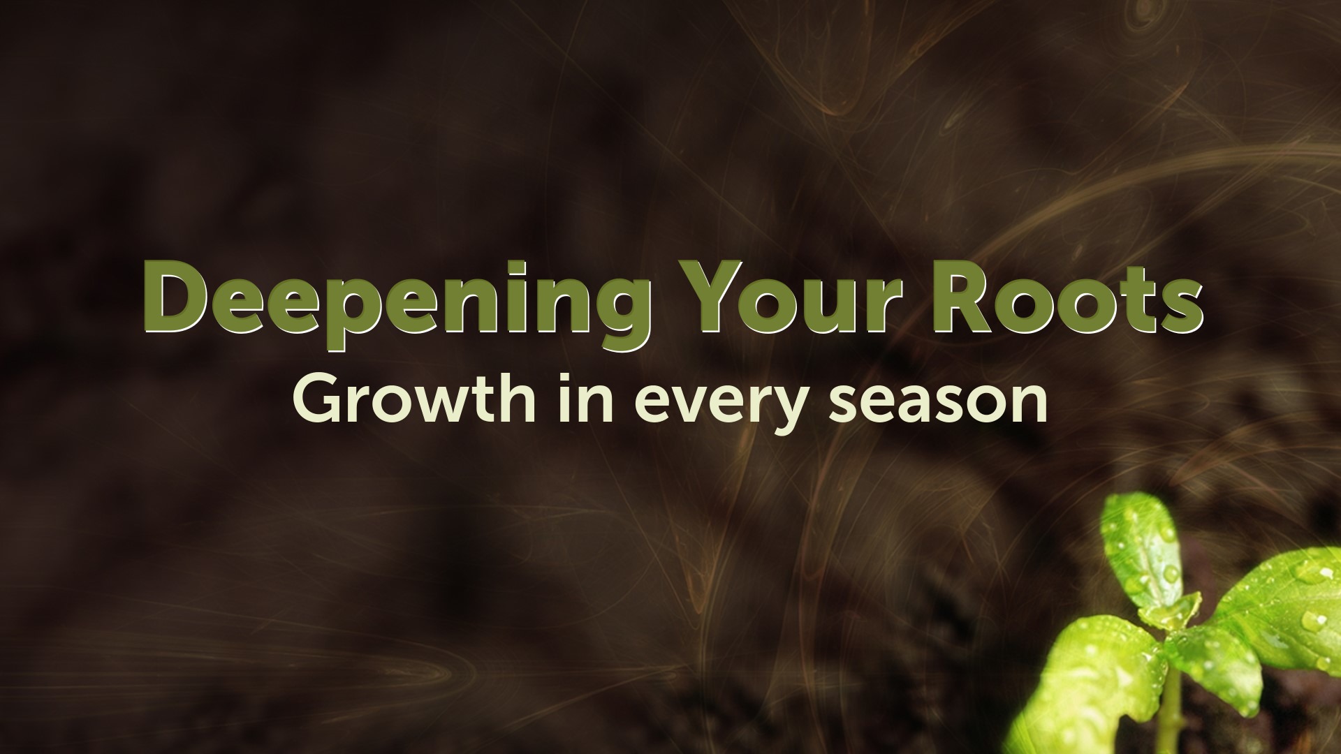 Deepening Your Roots - Logos Sermons