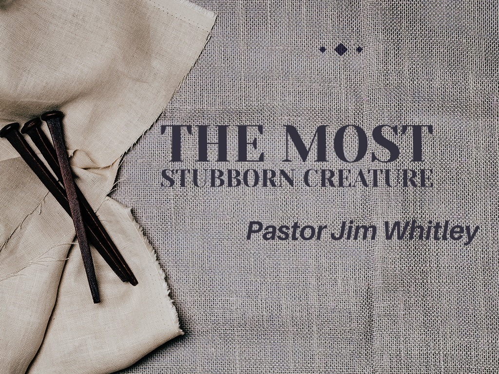 The Most Stubborn Creature- Sun 2-19 - Logos Sermons
